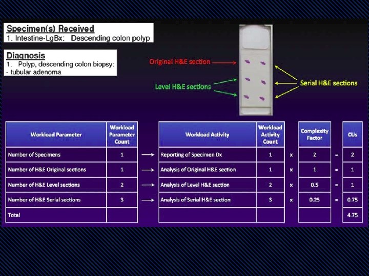 Productivity and Efficiency of an Anatomic PathologistChallenges ...