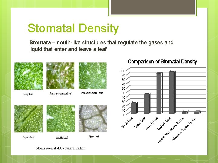 Visual and Image Processing Rahman Tashakkori Luke Rice