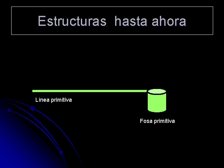 Ctedra de embriologa 3 4 semanas GASTRULACIN Y