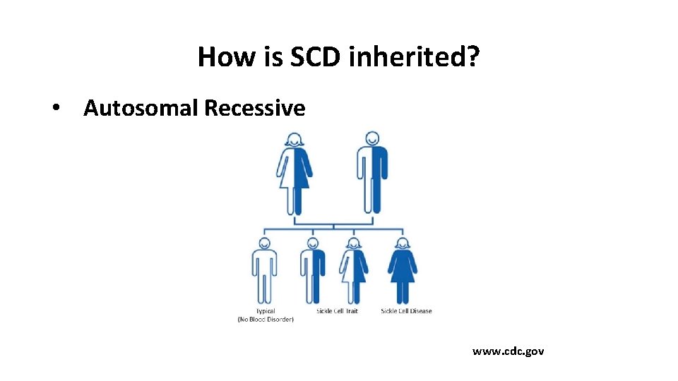 Sickle Cell Disease Emily S Moses M D