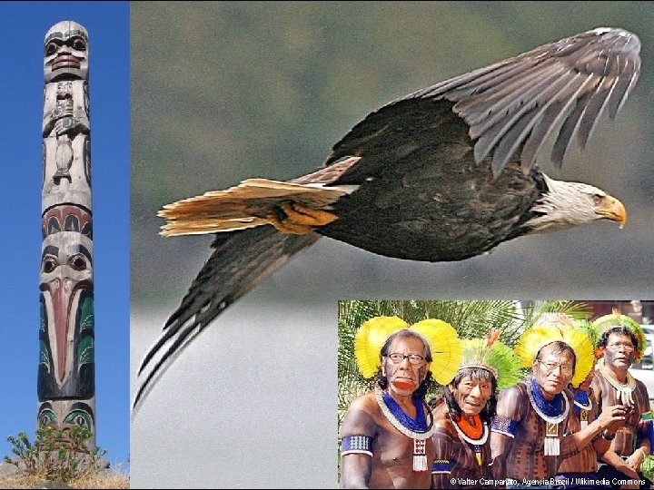 Los animistas N introduccin y sus creencias principales