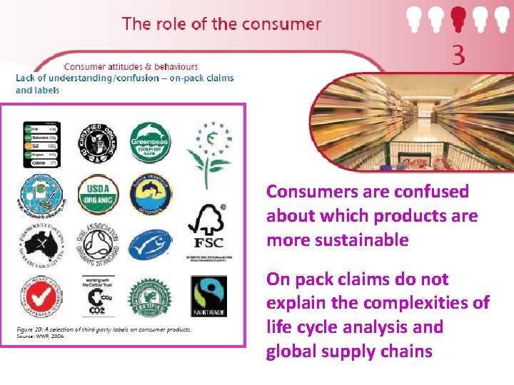 Sustainability Issues Opportunities for Brands Luxury future leaders