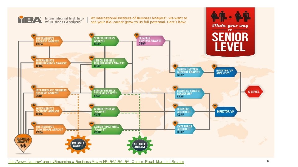 BUSINESS ANALYSIS FOR DATA SCIENCE TEAMS Susan M