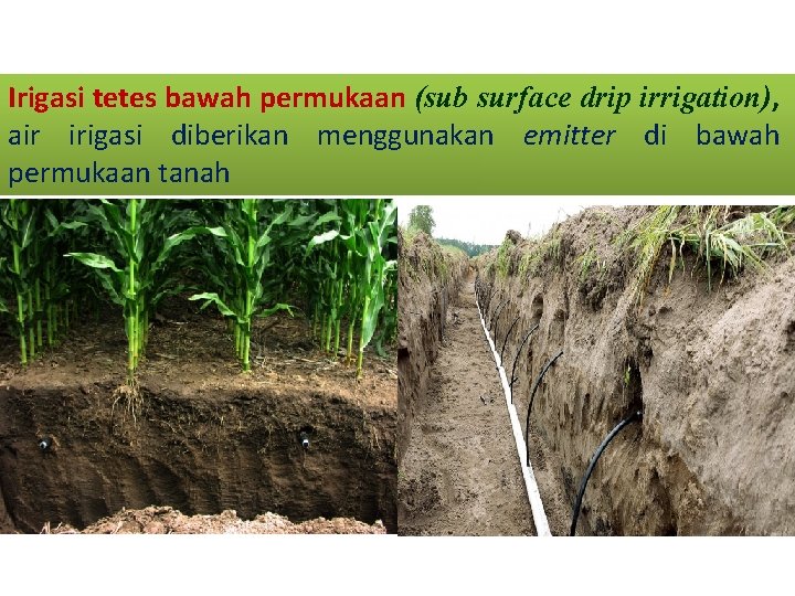 METODE PEMBERIAN AIR IRIGASI irrigation application Tujuan Instruksi