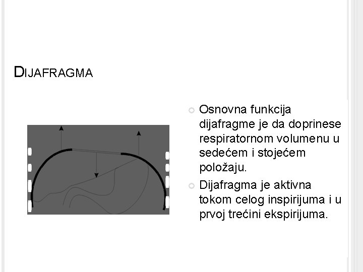 REHABILITACIJA PULMOLOKIH BOLESNIKA Anatomske osnove Osnovna funkcija plua