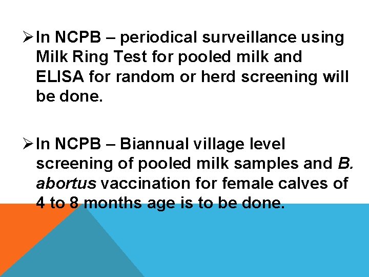 BRUCELLOSIS IN CATTLE AND BUFFALOES IN AND AROUND