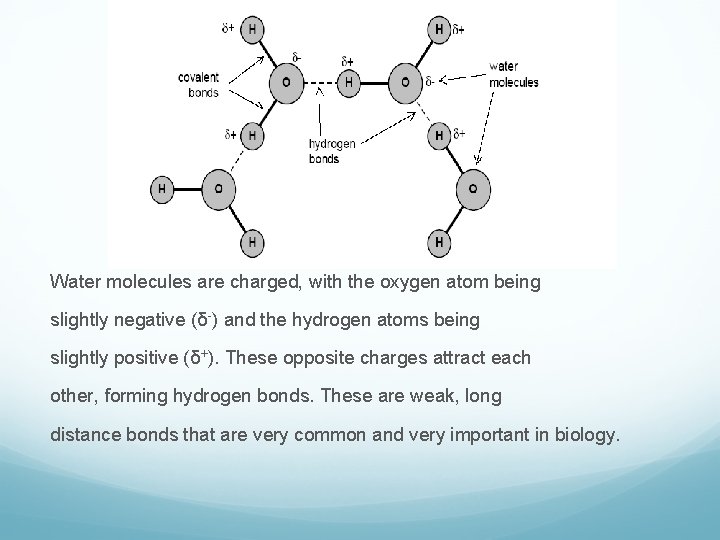 3 1 4 Draw and label a diagram
