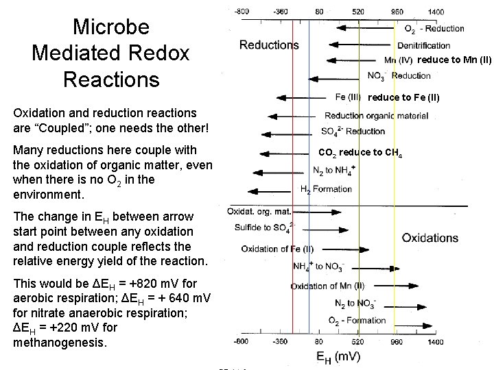 Aquatic Ecosystem Chemistry Dissolved Oxygen DO Temperature Redox