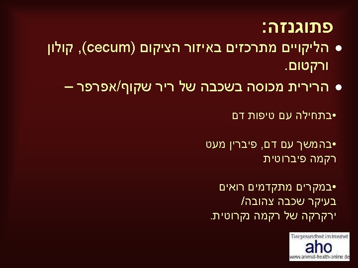 Brachyspira Serpulina Treponema spp Brachyspira hyodysenteriae ...