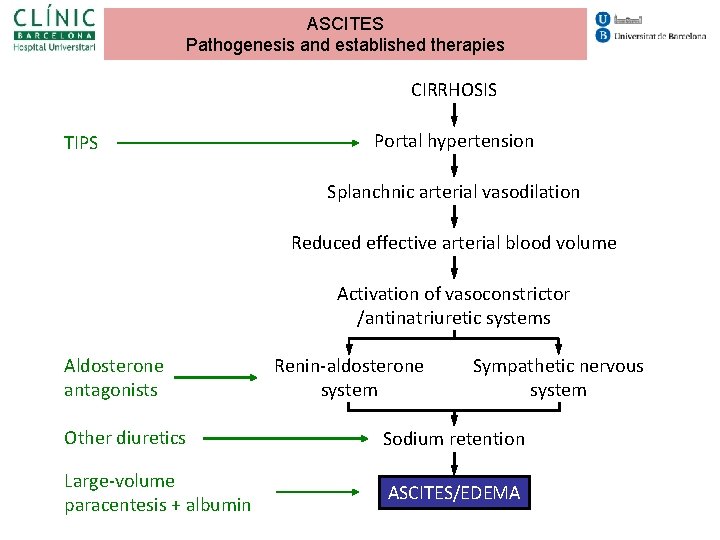 SINDROME HEPATORRENAL IV CURSO PARA RESIDENTES DE LA