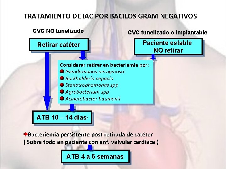 INFECCIN ASOCIADA A CATTER M CARMEN RIBERA OBJETIVOS