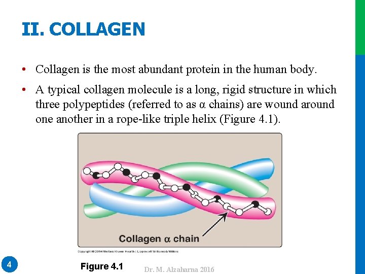 UNIT I Protein Structure and Function CHAPTER 4