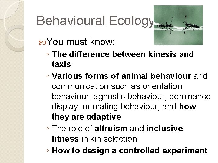 Concept 1 Analyzing Animal Behaviour Campbell Chapter 51