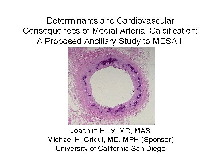 Determinants and Cardiovascular Consequences of Medial Arterial ...