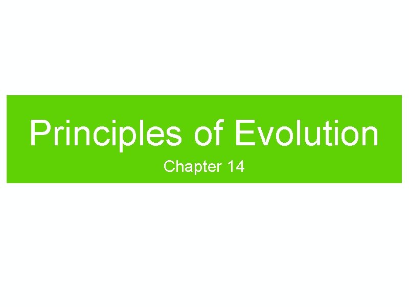 Principles of Evolution Chapter 14 What is Evolution