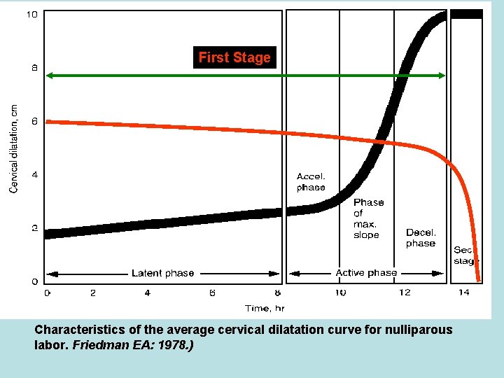 Diagnosis and Management of Abnormal Professor Hassan Nasrat