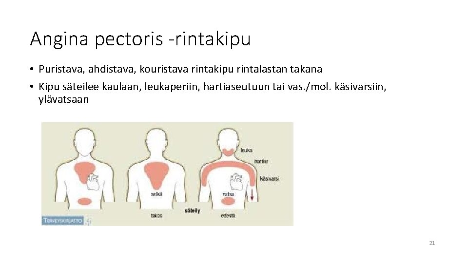 SYDN JA VERISUONISAIRAUDET Verenpainetauti hypertensio arterialis ...