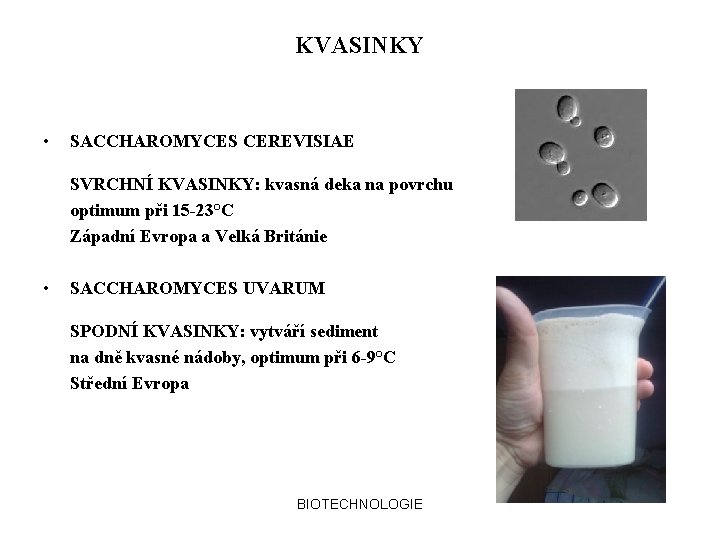 HISTORIE VROBY PIVA nejstar biotechnologie spolu s vrobou