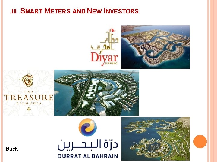 Bahrain Experience in the Field of Smart Meters