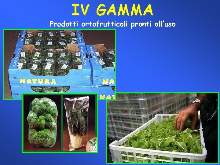 La classificazione degli alimenti in GAMME 1222020 In