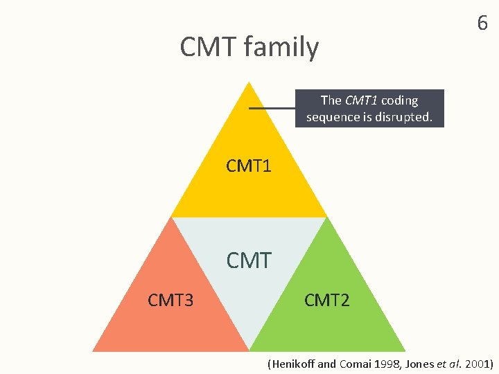Functional characterization of Nicotiana benthamiana chromomethylase Nb CMT
