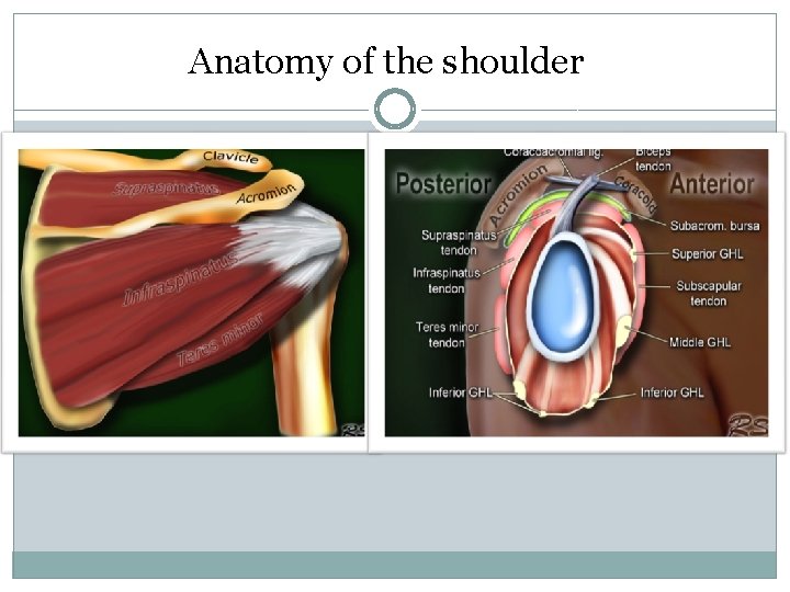 Periarthritis Of Shoulder Joint DR M ABBASI RHEUMATOLOGIST