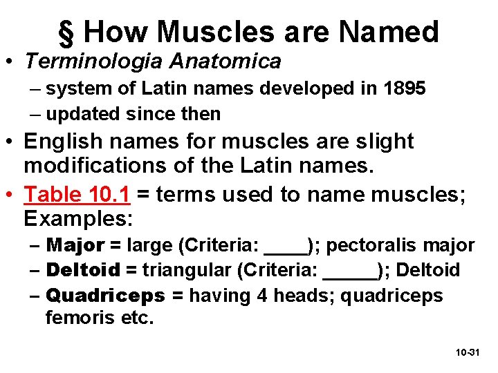 Chapter 10The Muscular System 10 1 Ch 10