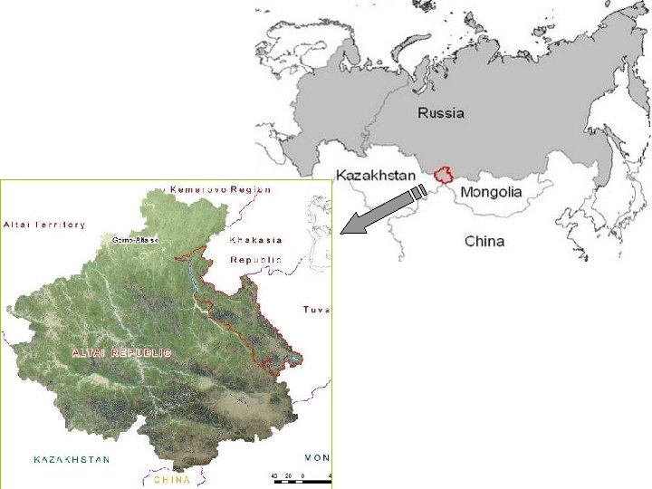 The Altaisky Biosphere Reserve practice management and development
