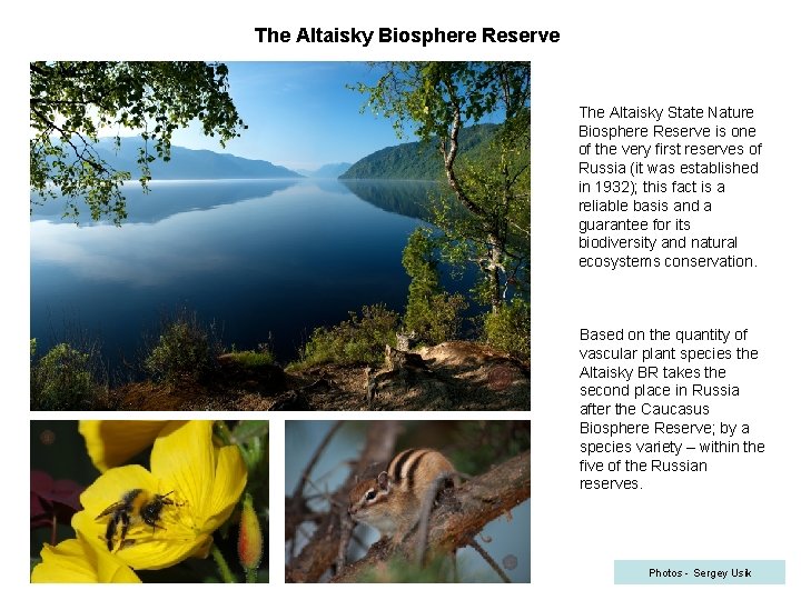 The Altaisky Biosphere Reserve practice management and development