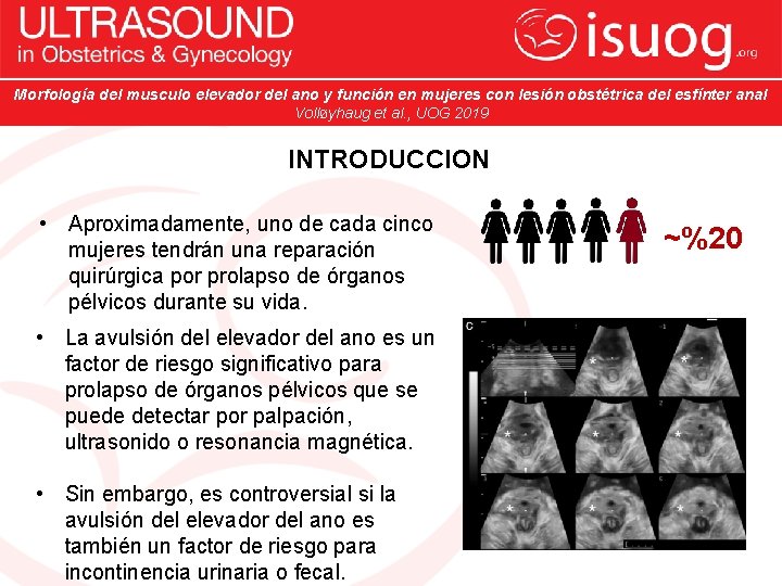 UOG Journal Club Marzo 2019 Morfologa del musculo