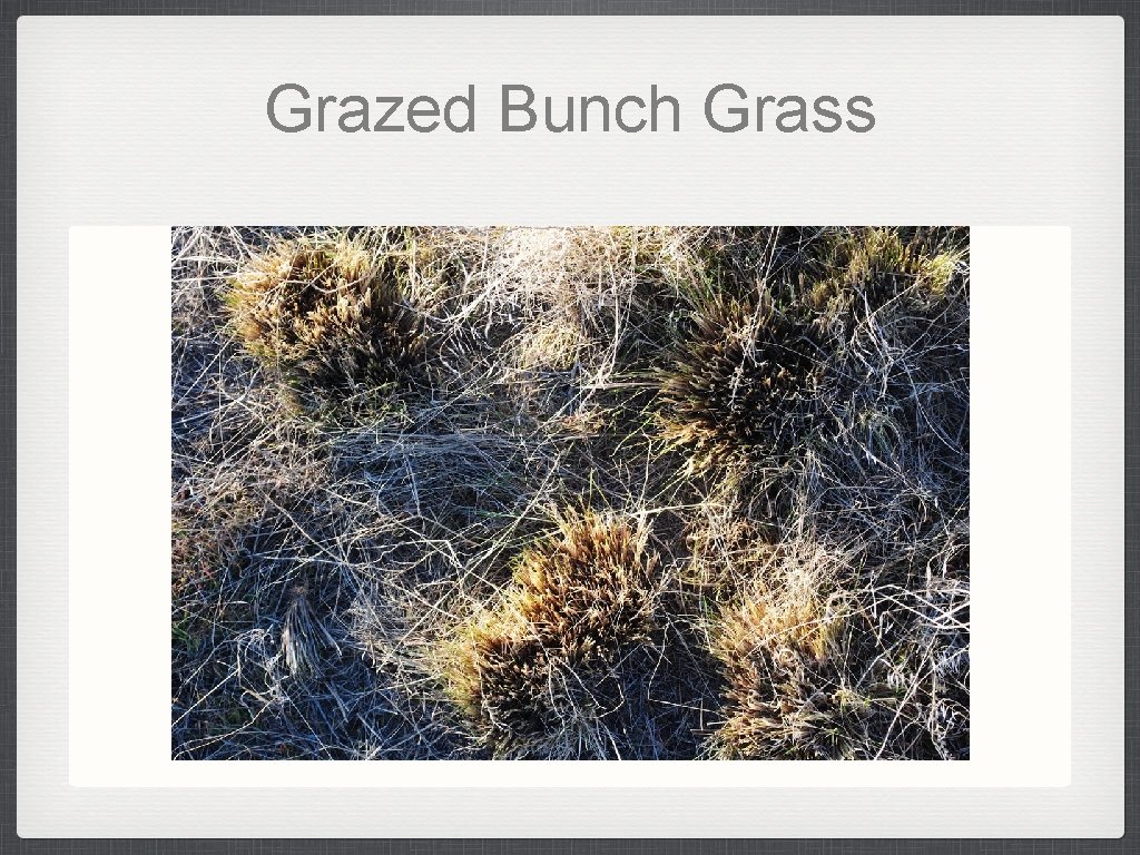 Range Restoration Kathleen A Garland Ph D How