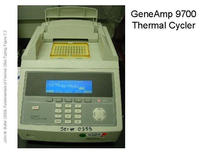 Chapter 7 DNA Amplification Fundamentals of Forensic DNA