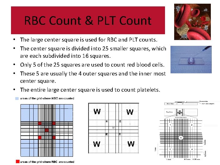 RBC WBC PLT Counts Hemacytometers Hemacytometers a precisionmade