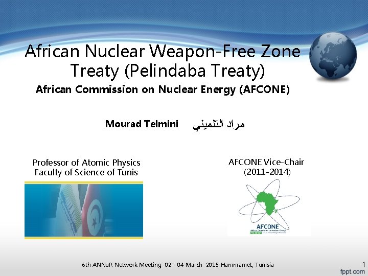African Nuclear WeaponFree Zone Treaty Pelindaba Treaty African