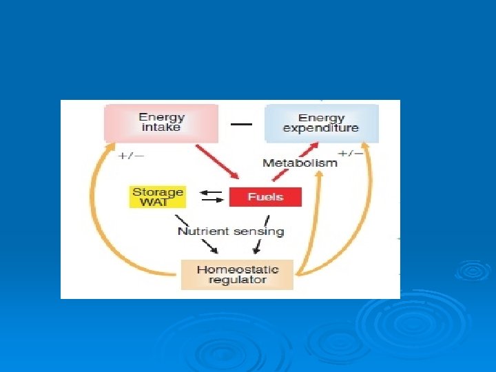 Neurobiology of Appetite Mechanisms Regulating Food Intake Energy
