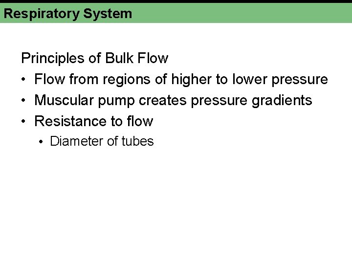 Chapter 17 Mechanics of Breathing About this Chapter