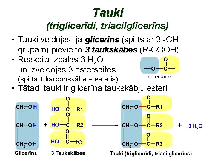 Biomija 4 lekcija LIPDI TAUKI UN TAUKIEM LDZGAS