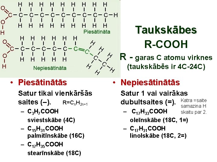 Biomija 4 lekcija LIPDI TAUKI UN TAUKIEM LDZGAS