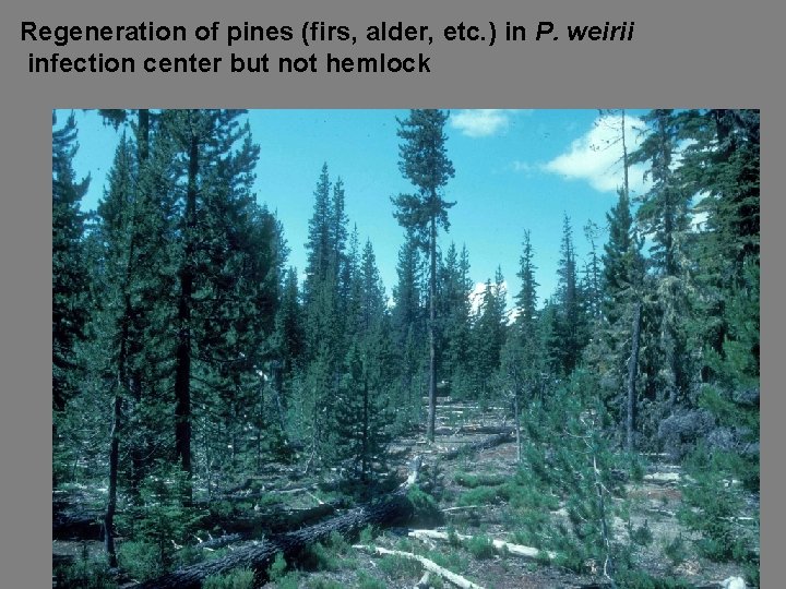 Types of disease Infectious a disease that is