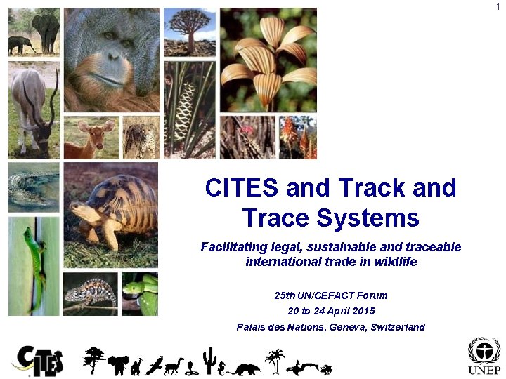 1 CITES and Track and Trace Systems Facilitating