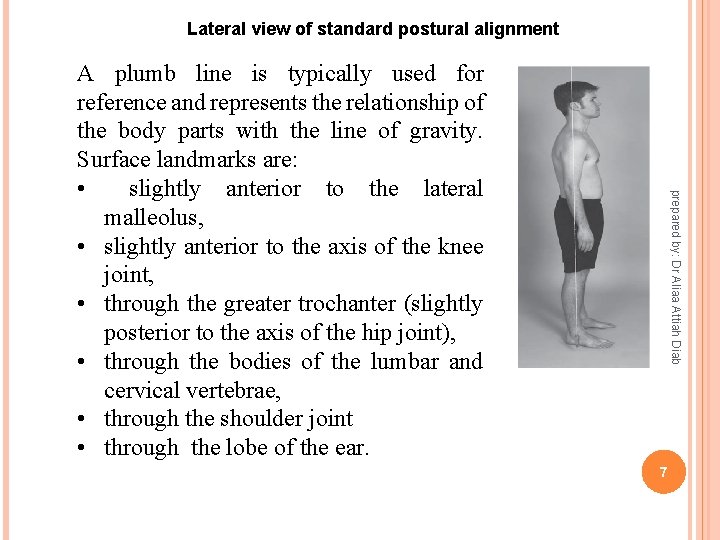 POSTURE prepared by DR Aliaa Attiah Mohamed Diab