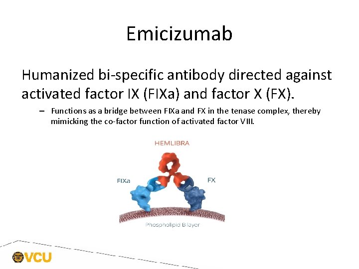 The Use of Global Assays to Monitor Emicizumab