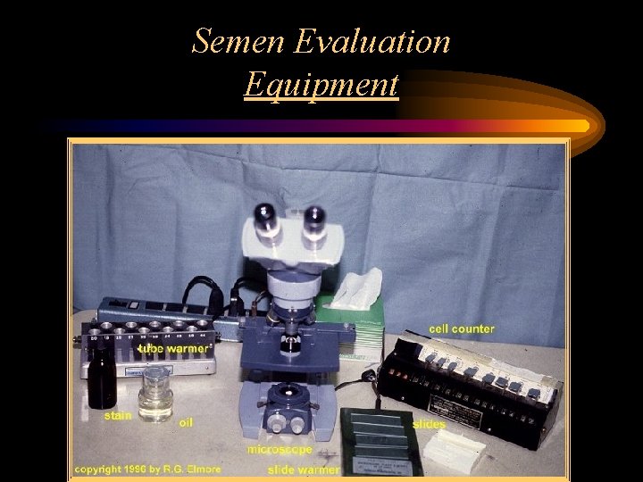 Bull Breeding Soundness Evaluation Thanks to Dr Rod