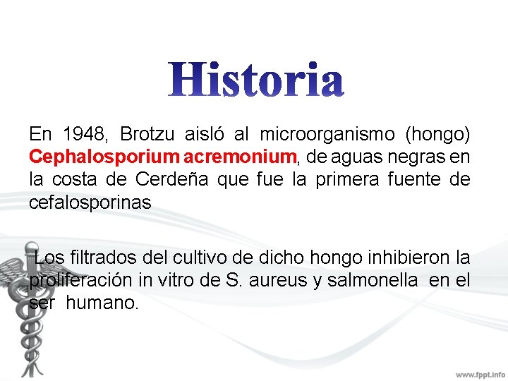 En 1948 Brotzu aisl al microorganismo hongo Cephalosporium