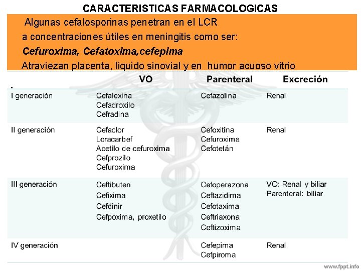 En 1948 Brotzu aisl al microorganismo hongo Cephalosporium