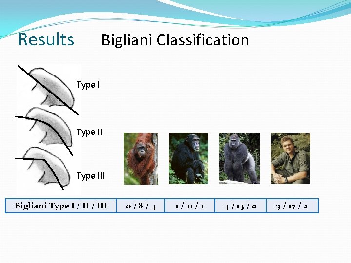 Human Evolution and Subacromial Impingement JD Craik R