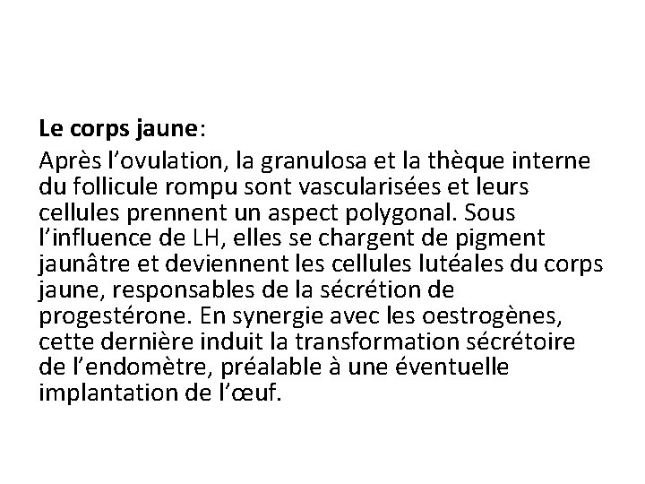 EMBRYOLOGIE HUMAINE Rappel Avant lovulation sous linfluence des