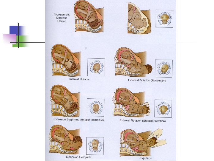 INTRAPARTUM Labor and Birth MaternalNewborn and Child Nursing