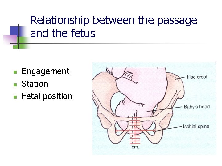 INTRAPARTUM Labor and Birth MaternalNewborn and Child Nursing