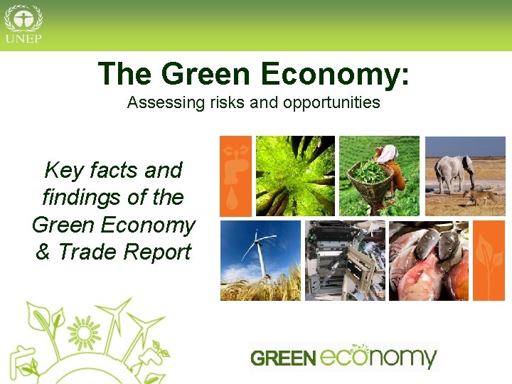 The Green Economy Assessing risks and opportunities Key